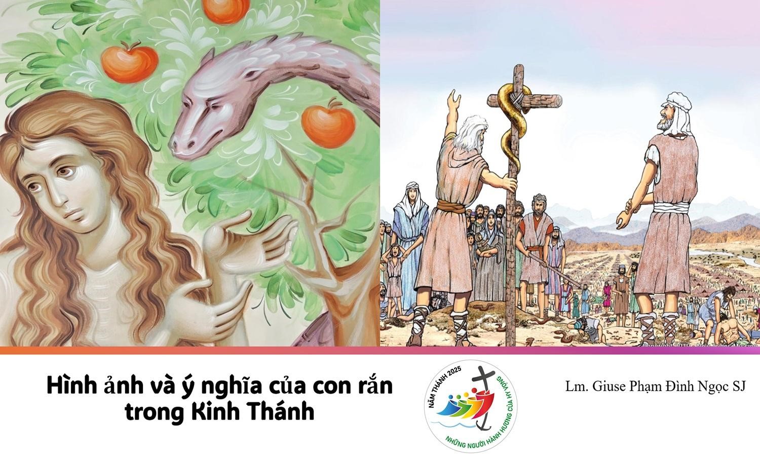 Hình Ảnh Và Ý Nghĩa Của Con Rắn Trong Kinh Thánh - Giáo Phận Kon Tum